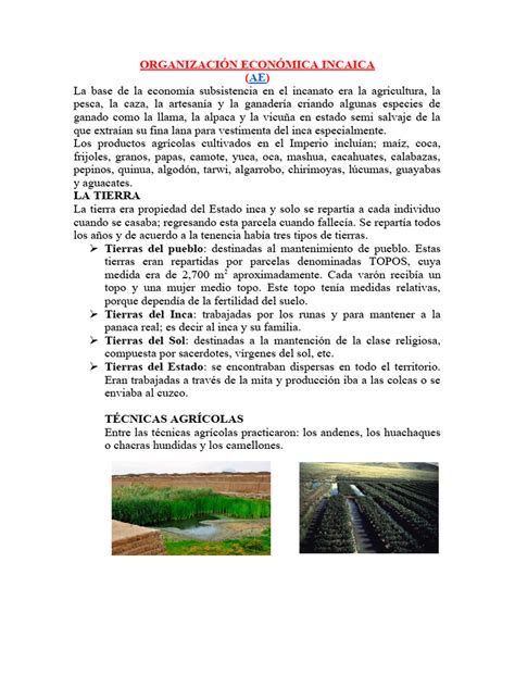 01 Organización Económica Incaica Pdf Imperio Inca Agricultura