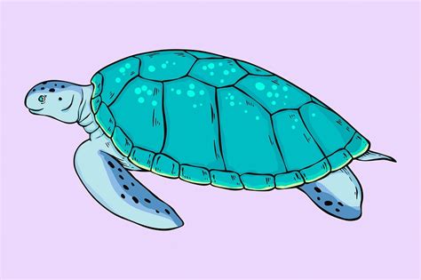 Detail Turtle Vector Png Koleksi Nomer 34