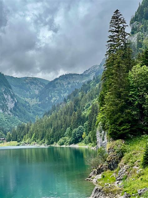 Lab Sunday Walk Lac De Taney Teelab