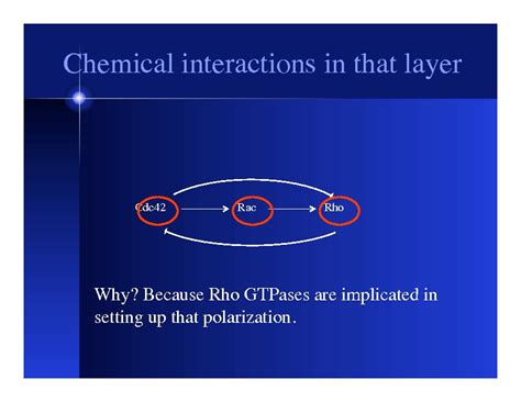 Diffusion Reaction And Biological Pattern Formation Continued 3 Of 3