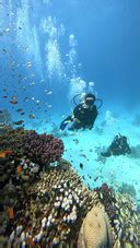 Reisen Und Erleben Tauchen In Soma Bay