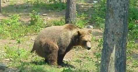 The Answer Album On Imgur