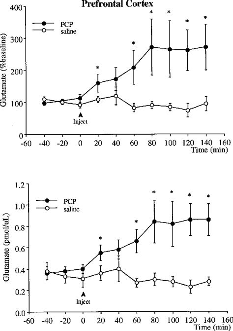 Phencyclidine Semantic Scholar