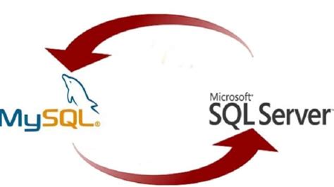 Why Should Someone Choose The Data Loader To Convert Oracle To Mysql