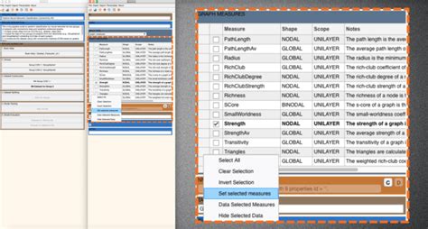 Pipeline Neural Networks Classification Connectivity Wu Braph