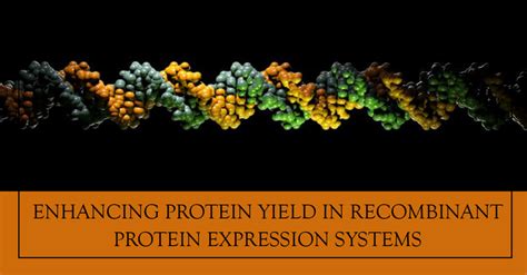 Enhancing Protein Yield In Recombinant Protein Expression Systems Biomatik