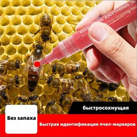 Пчелиный маркер, водостойкий и быстросохнущий, без запаха и безвредный ...