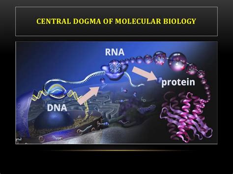 Genomics And Proteomics Bioinformatics