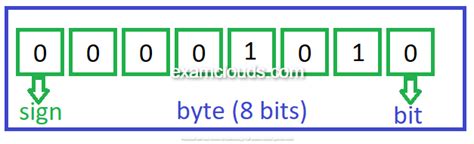 Binary Number Representation Direct Inverse And Twos Complement Codes