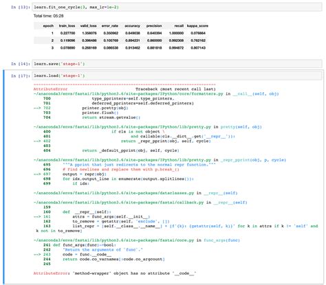 Cannot Load Saved Model Part 1 2019 Fastai Course Forums