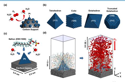 figure 1 from investigation of effect of platinum nanoparticle shape on