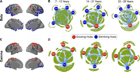 Spatial Distribution And Connectivity Patterns Of Growing And Shrinking Download Scientific