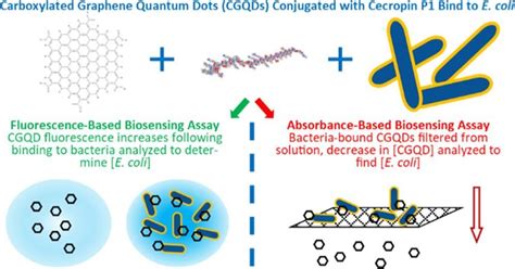 Fluorescent Assisted Nanosensor Array Based On Graphene Qds Attached