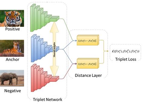 Vol 2a Siamese Neural Networks A Siamese Neural Network Snn By