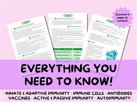 The Immune System A Level Biology Study Notes Guide Etsy