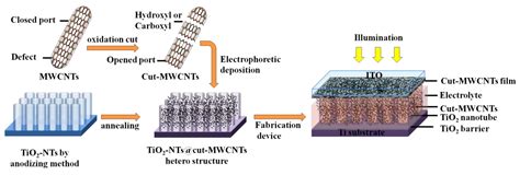 Heterostructures Of Cut Carbon Nanotube Filled Array Of Tio2 Nanotubes