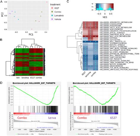 RNA Seq Analysis Following H B And Lenvatinib As Single Agents Or Download Scientific