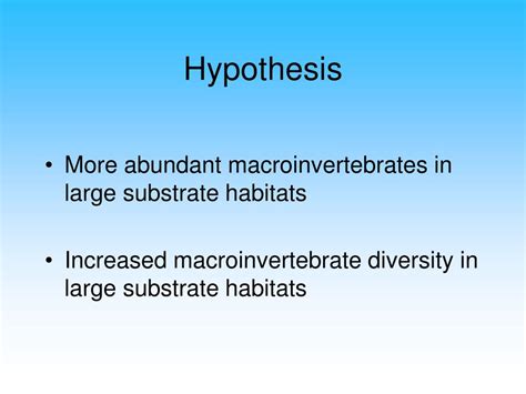 Ppt The Effects Of Substrate Size On Stream Macroinvertebrate Population Size And Structure