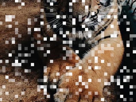 Css Glowing Border Animation — Codehim