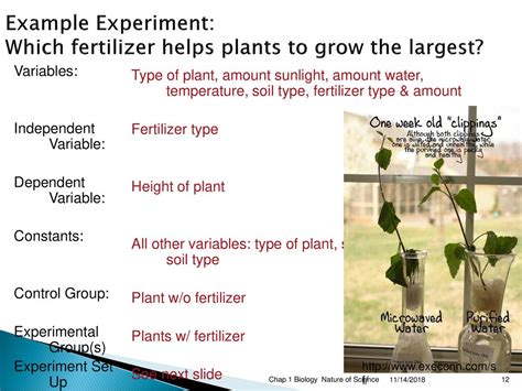 Chapter 1 Section 1 The Nature Of Science Ppt Download