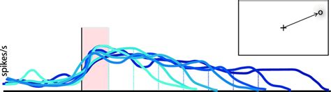 3 Spiking Activity Of An Intended Movement Cell During Saccades To The Download Scientific