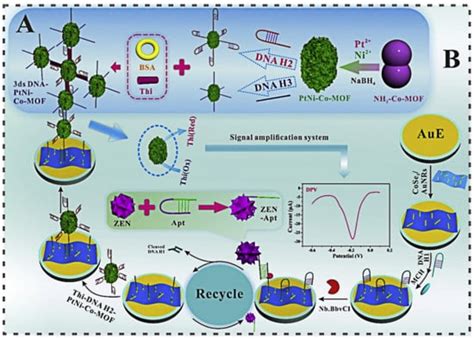 Recent Progress In Electrochemical Nano Biosensors For Detection Of Pesticides And Mycotoxins In