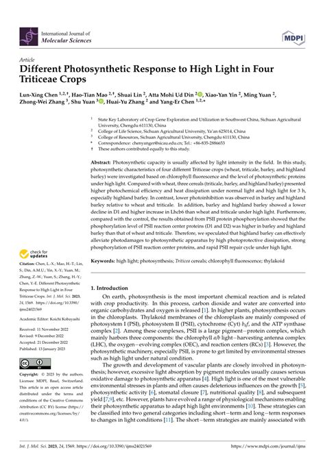 Pdf Different Photosynthetic Response To High Light In Four Triticeae