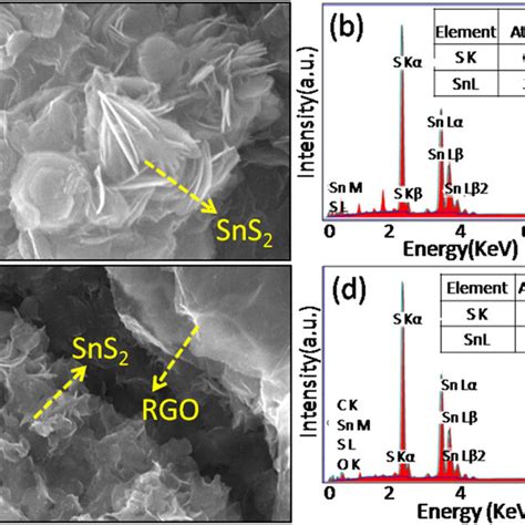 Sem Analysis Of As Synthesised Sns2 Nss And Sns2rgo Nanocomposite
