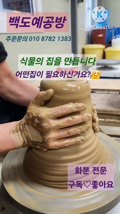 남다른 화분을 원하세요 백도예공방 화분입니다😁다육화분 야생화화분 다육이야생화수제화분 명품화분 고급화분