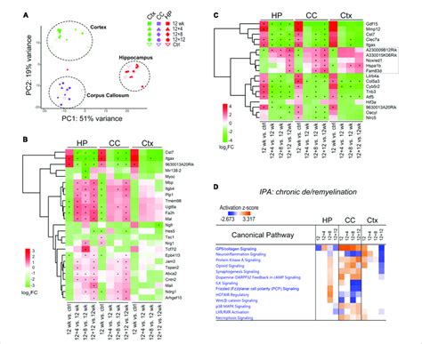 Comparative Transcriptome Analysis Reveals Brain Region Dependent