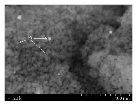 Selected Scanning Electron Image Of Pttio2 Photocatalyst Download