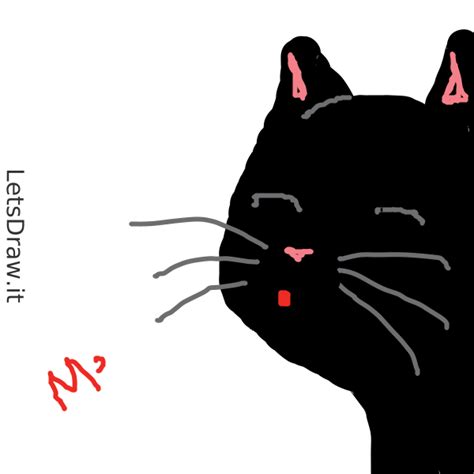 How To Draw Meow 5yqeq7dni Png LetsDrawIt