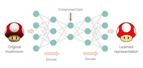 exemplo de autoencoder [11] download scientific diagram