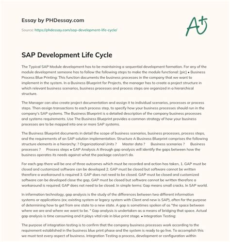 SAP Development Life Cycle PHDessay Com