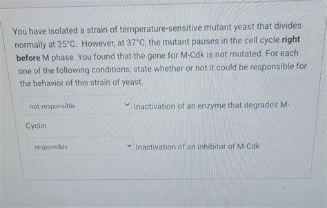 Solved You Have Isolated A Strain Of Temperature Sensitive