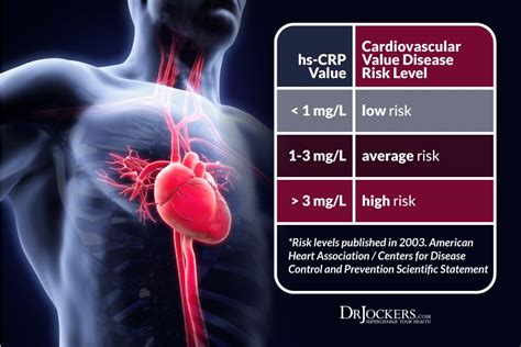 Measuring Your C Reactive Protein Levels C Reactive Protein Centers