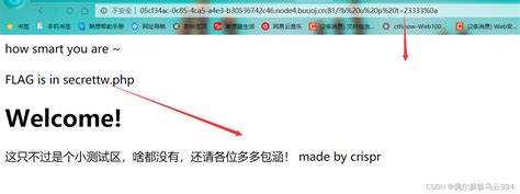 php特性函数（正则 漏洞函数） config flag index php csdn博客