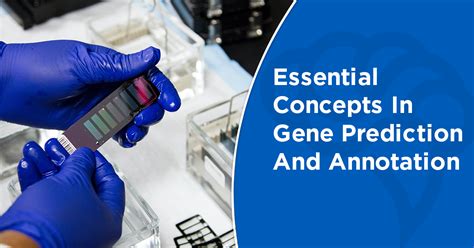 Essential Concepts In Gene Prediction And Annotation