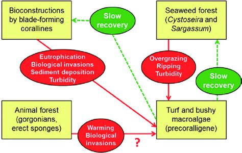 Temporal Dynamics Of The Four Communities That Constitute The