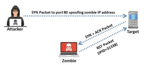 Port Dan Service Discovery IDLE IPID Header Scan SkillPlus