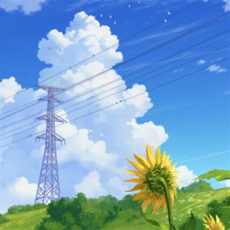 Sen Wang 水产学院 Research Profile