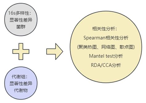 16s代谢组联合分析