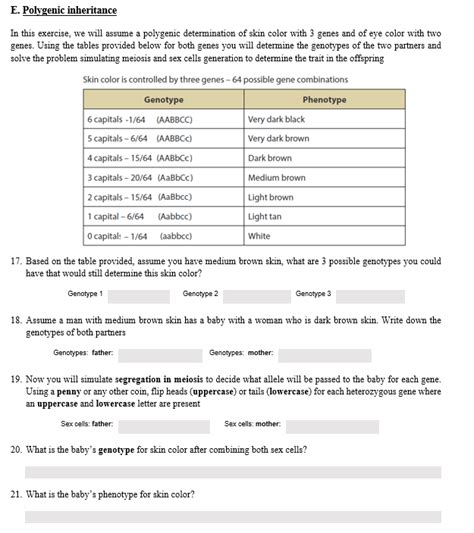 Solved E Polygenic Inheritance In This Exercise We Will
