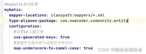 Spring Boot集成mybatis踩坑：不能找到mapperscan标签mapperscan注解找不到 Csdn博客