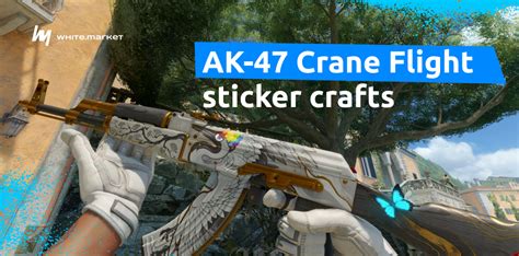 Best Ak 47 Crane Flight Sticker Crafts In Cs2 Top Budget Combos