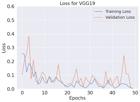 Shows The Training Validation Loss Curves For The Vgg19 Model Where
