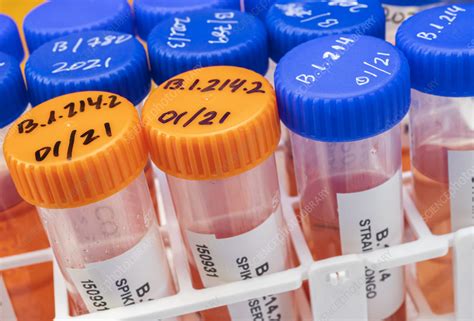 sars cov 2 variant research conceptual image stock image f036 3536