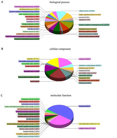 Functional Annotations Of All Identified Proteins All Identified