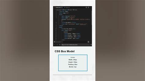 Belajar Css Css Belajarcss Youtube