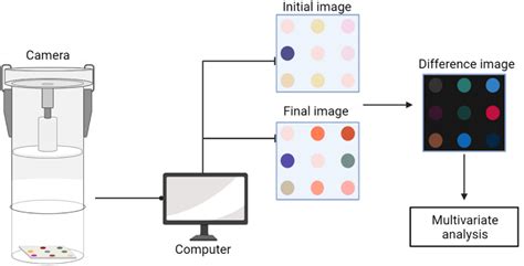 Figure 1 From Preparation Of Colorimetric Sensor Array System To